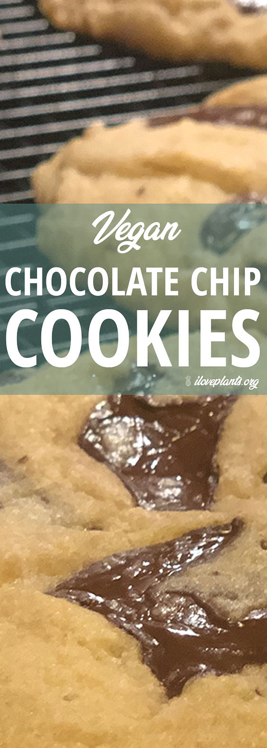 Vegan Lit Chocolate Chip Cookies - i love plants