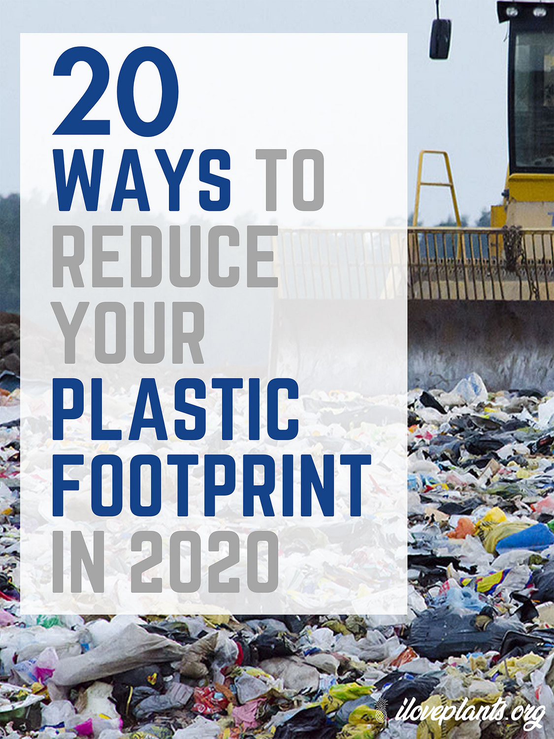 The Top 20 Ways To Reduce Your Plastic Footprint in 2020 - i love plants